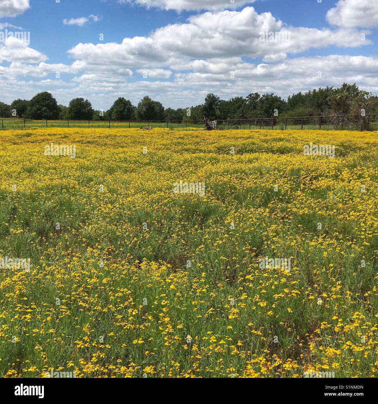 Rural oklahoma hi-res stock photography and images - Alamy Rural oklahoma hi-res stock photography and images - Alamy