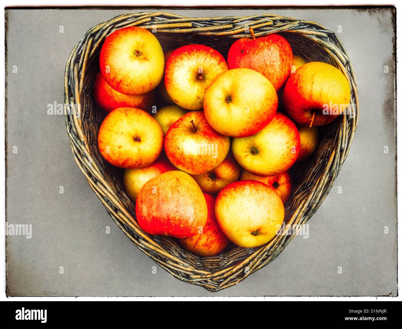 British windfall eating apples Stock Photo - Alamy