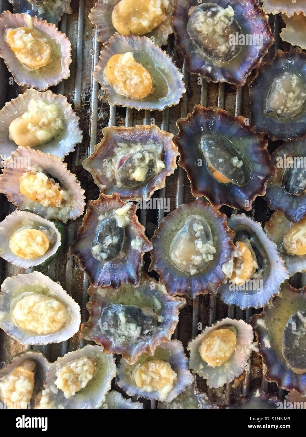 Limpets For Food High Resolution Stock Photography and Images - Alamy