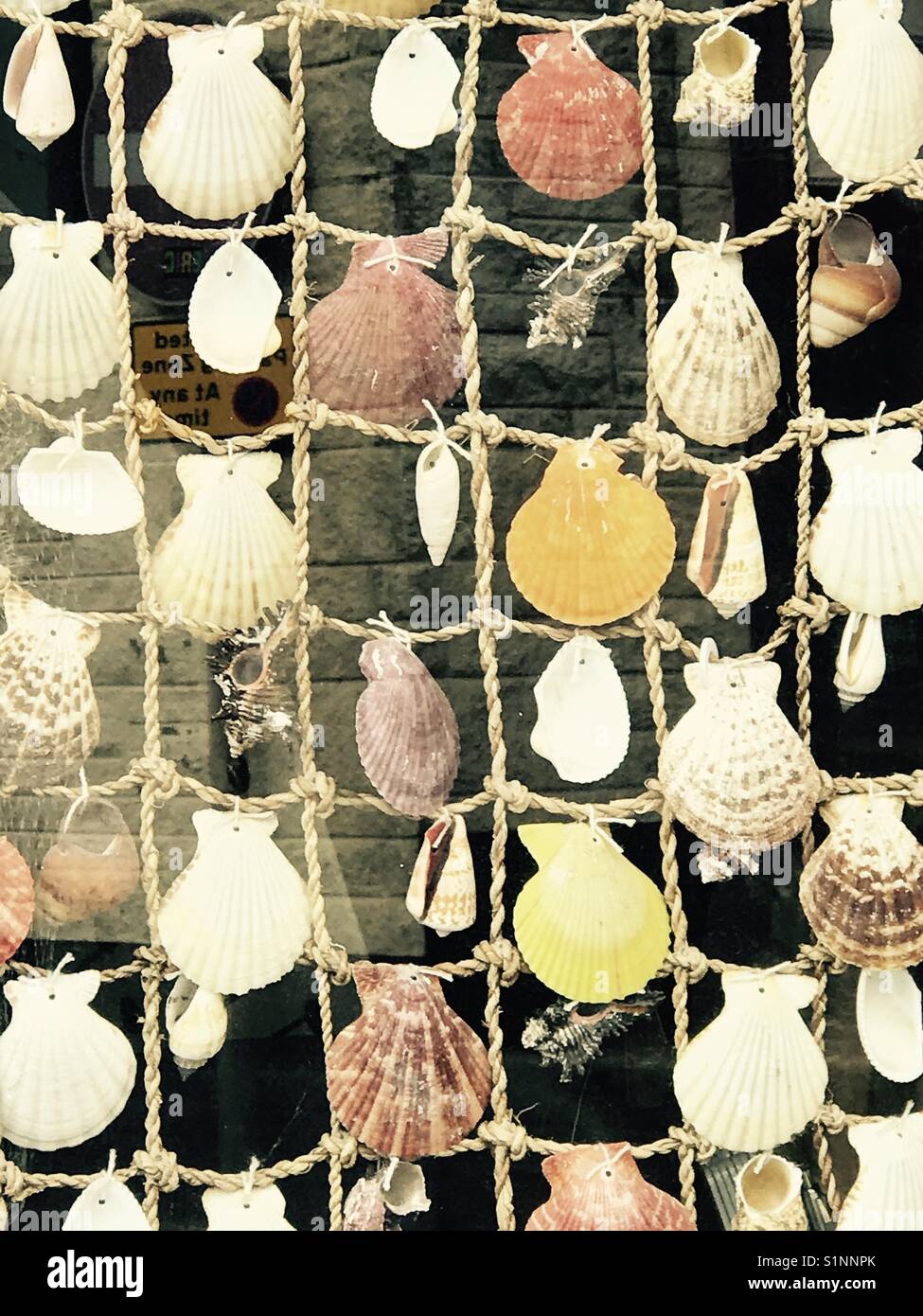 Decorative shells hanging on a rope net Stock Photo - Alamy