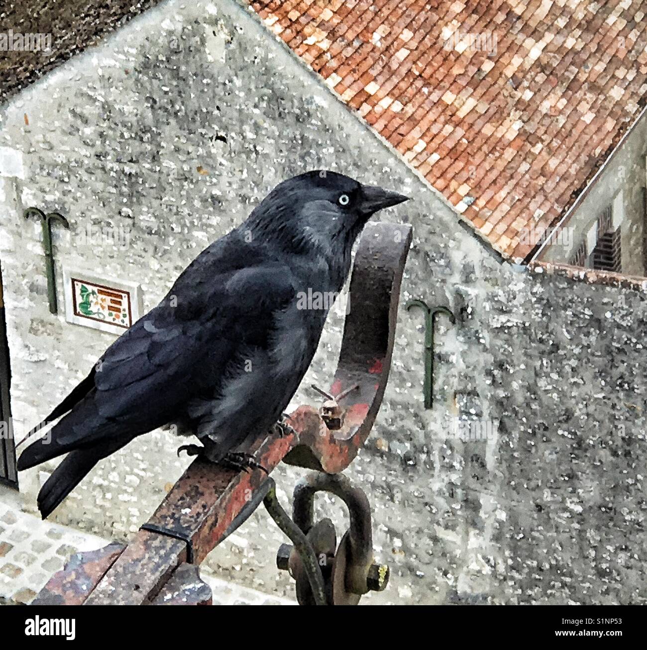 Medieval french hi-res stock photography and images - Alamy