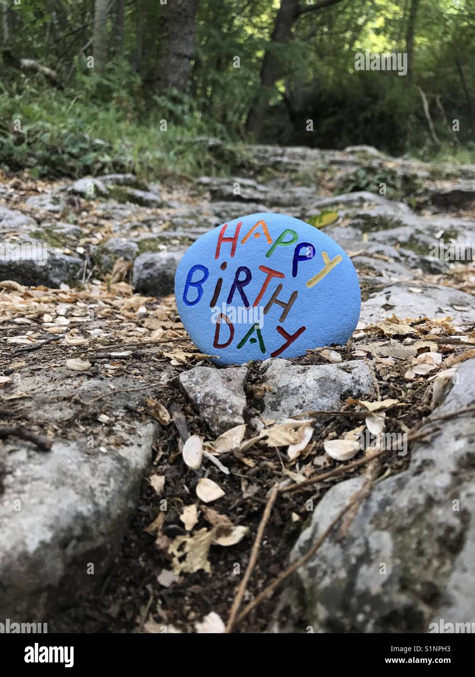 Happy Birthday stone on a forrest way Stock Photo - Alamy