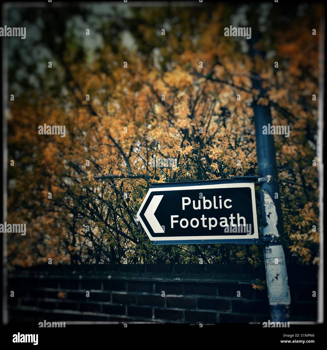 Public footpath signpost in suburban area, UK Stock Photo - Alamy