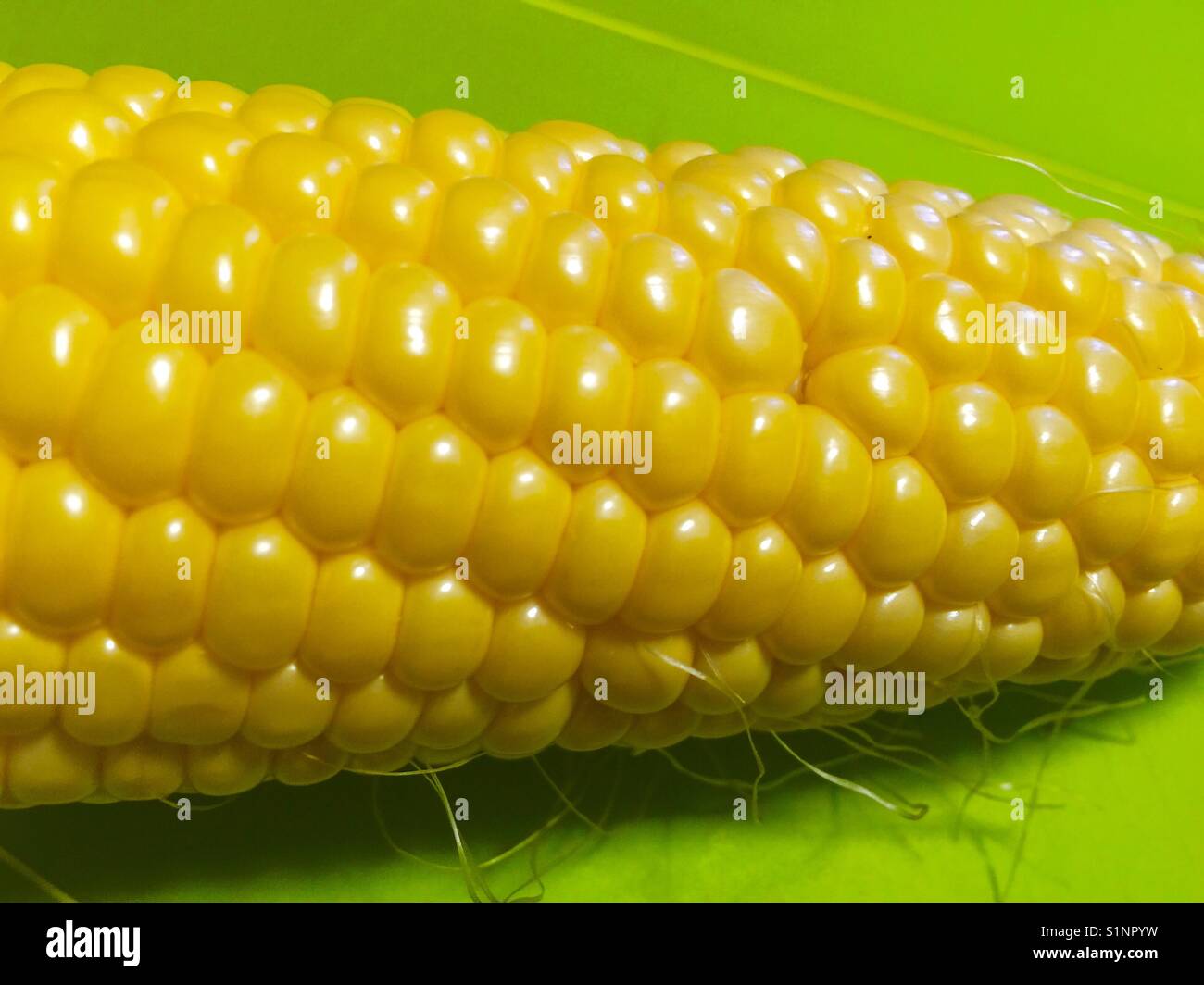 Bountiful corn on the cob hi-res stock photography and images - Alamy