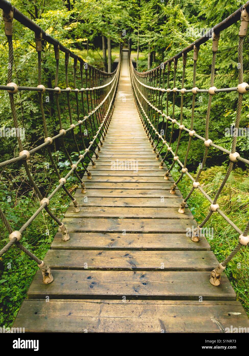 Bridge over ravine hi-res stock photography and images - Alamy