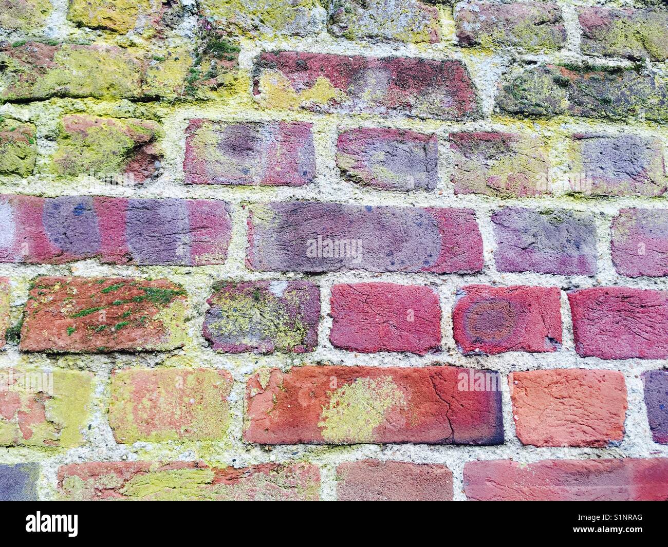Colourful Bricks Stock Photos & Colourful Bricks Stock Images - Alamy