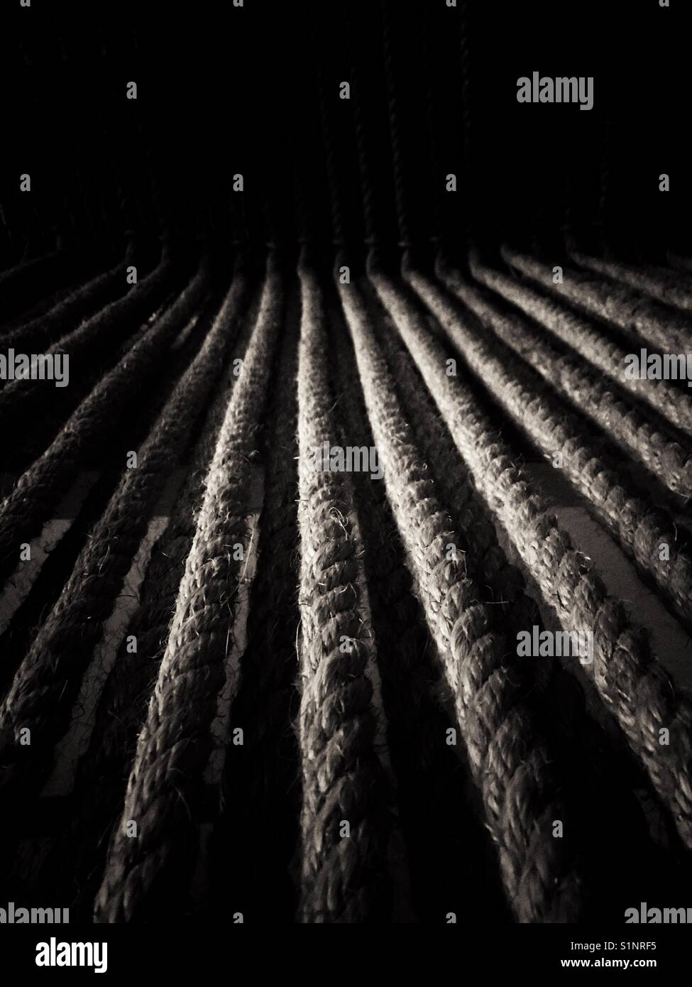 Ropes hanged from top - black and white Stock Photo - Alamy