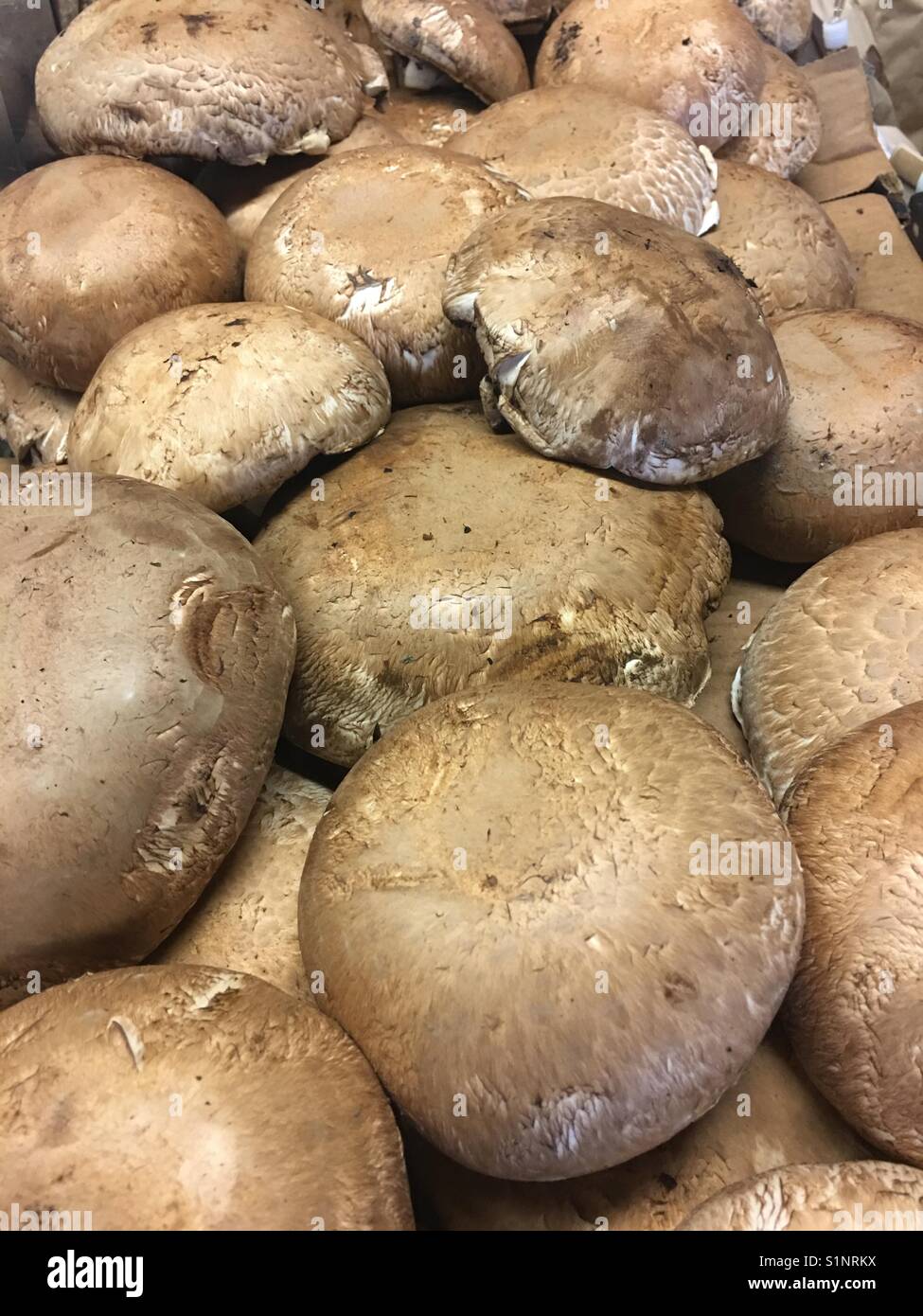 Portabella mushrooms hi-res stock photography and images - Alamy