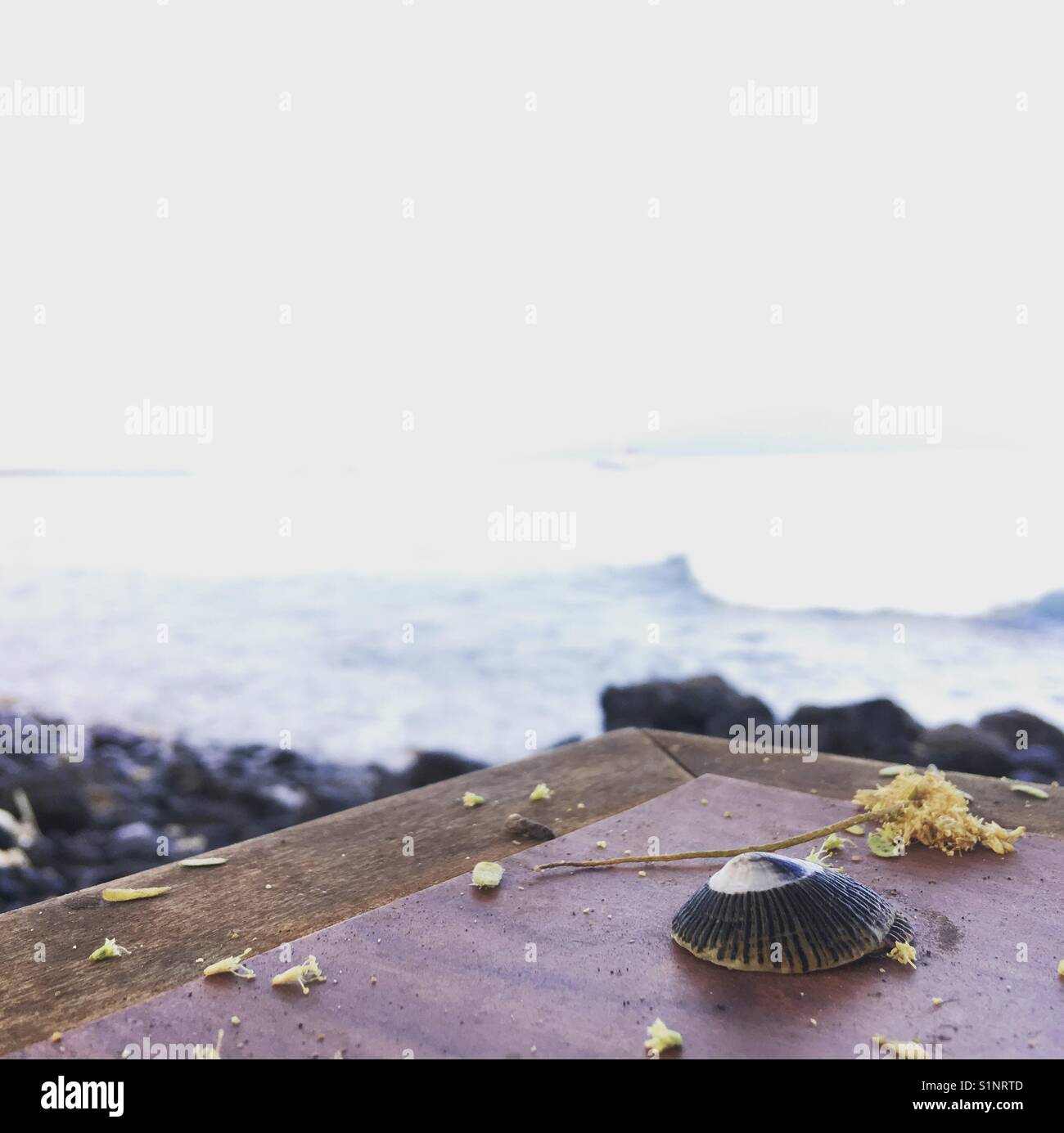 Aloha airlines hi-res stock photography and images - Alamy