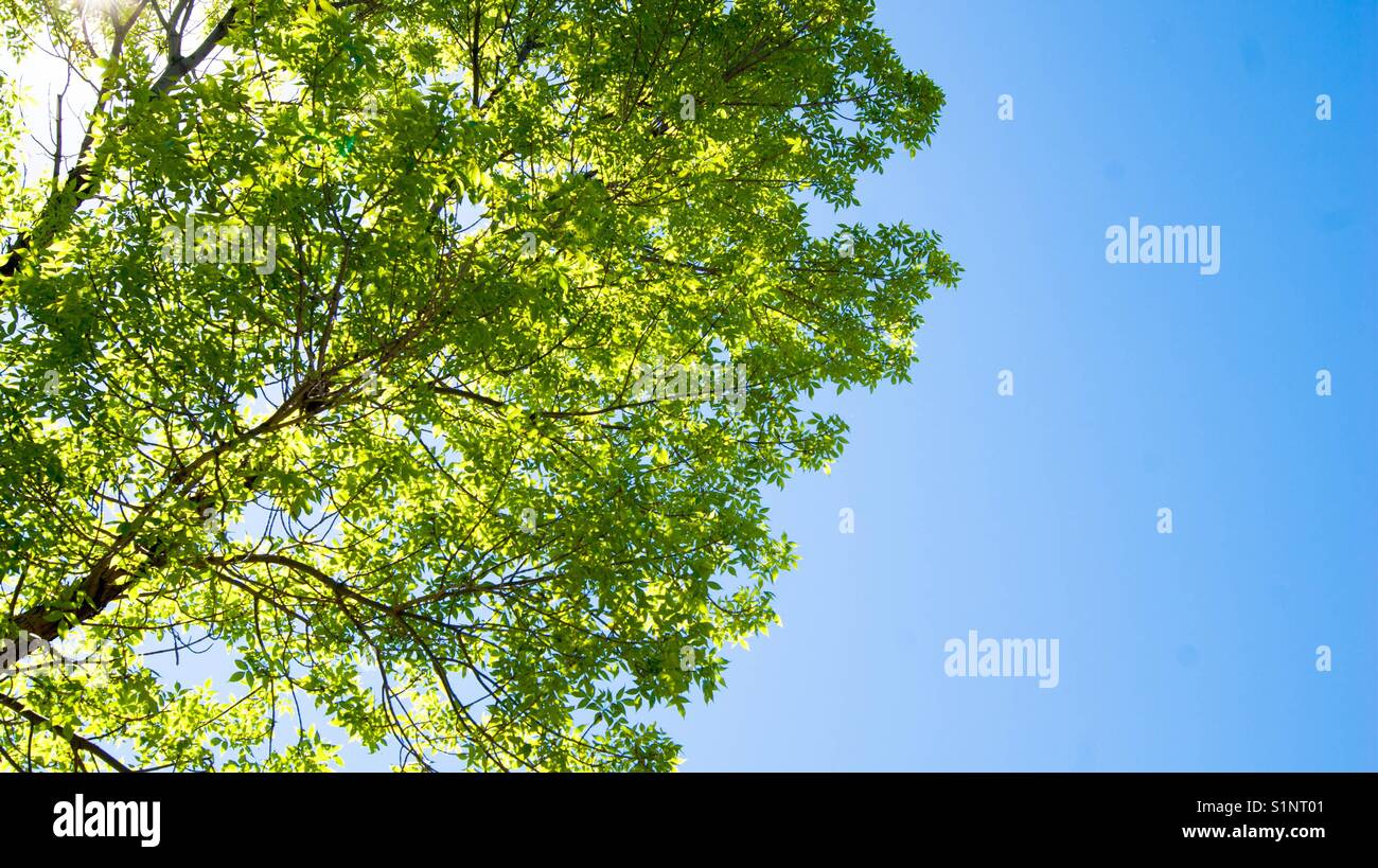 Sunny days summer hi-res stock photography and images - Alamy