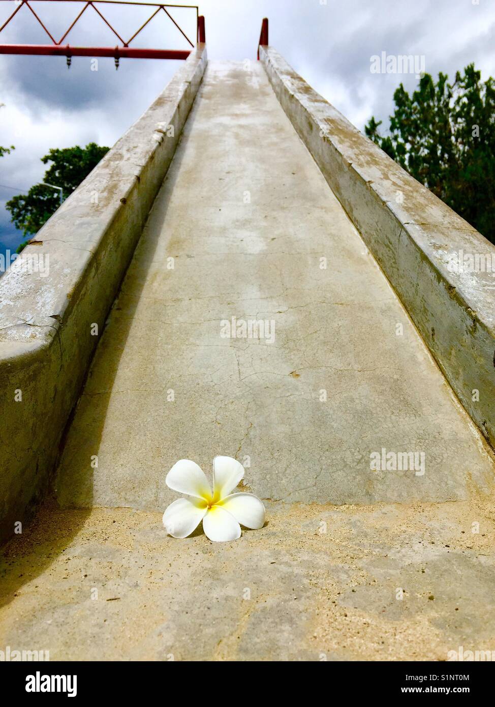 Flower slide hi-res stock photography and images - Alamy