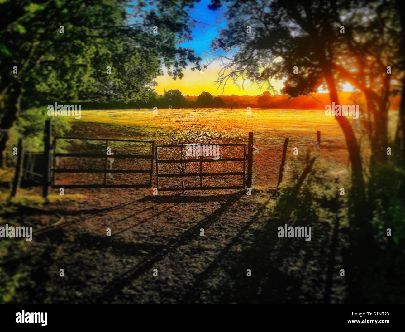 Sunrise in Kent Stock Photo - Alamy