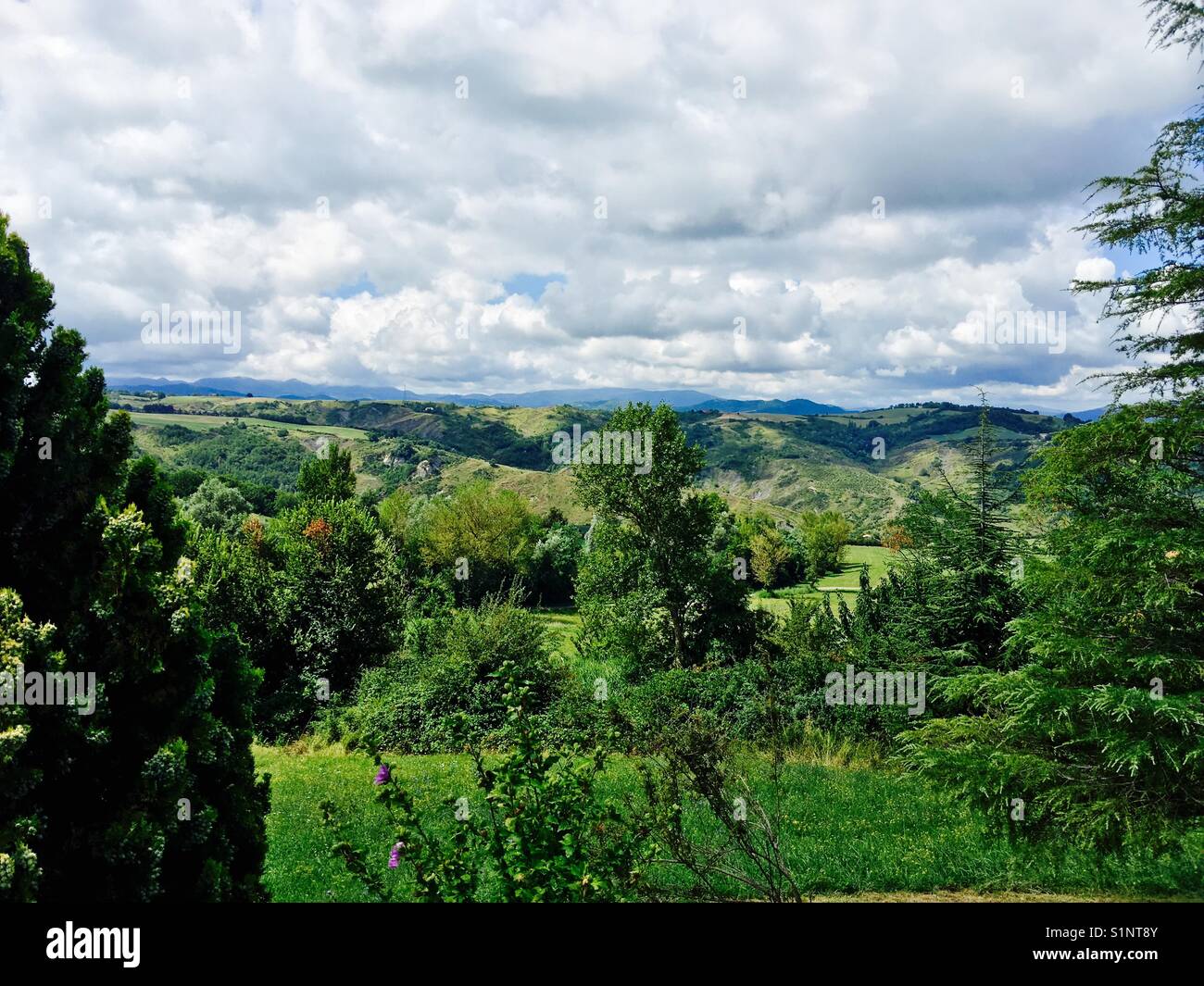 Vision the background hi-res stock photography and images - Alamy