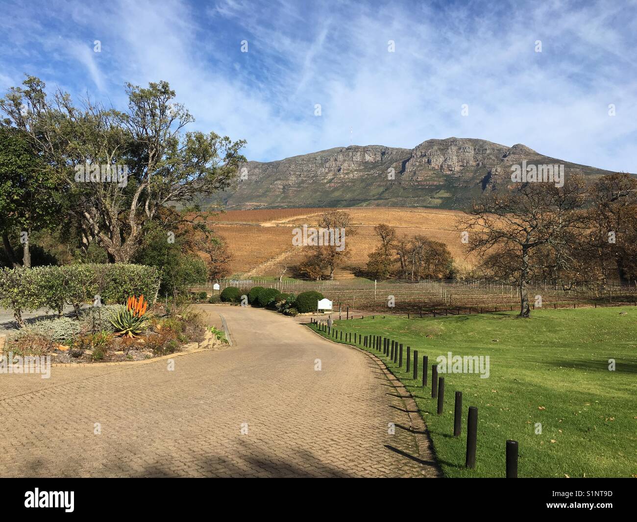 Constantia south africa hi-res stock photography and images - Alamy