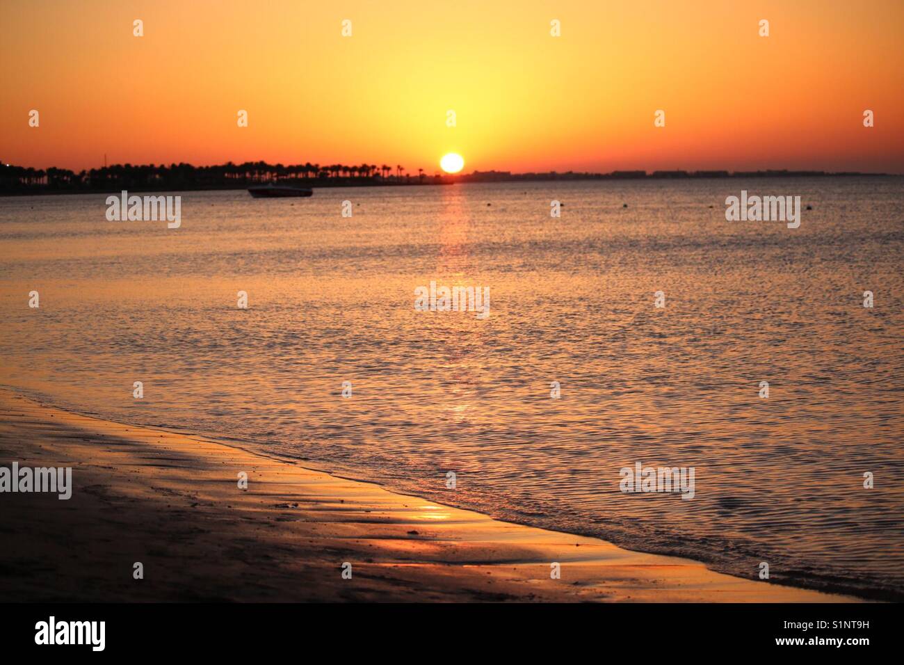 Full sun view hi-res stock photography and images - Alamy