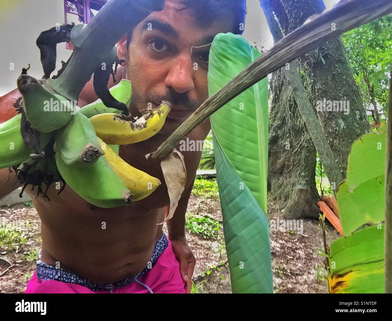 Wild bananas hi-res stock photography and images - Alamy