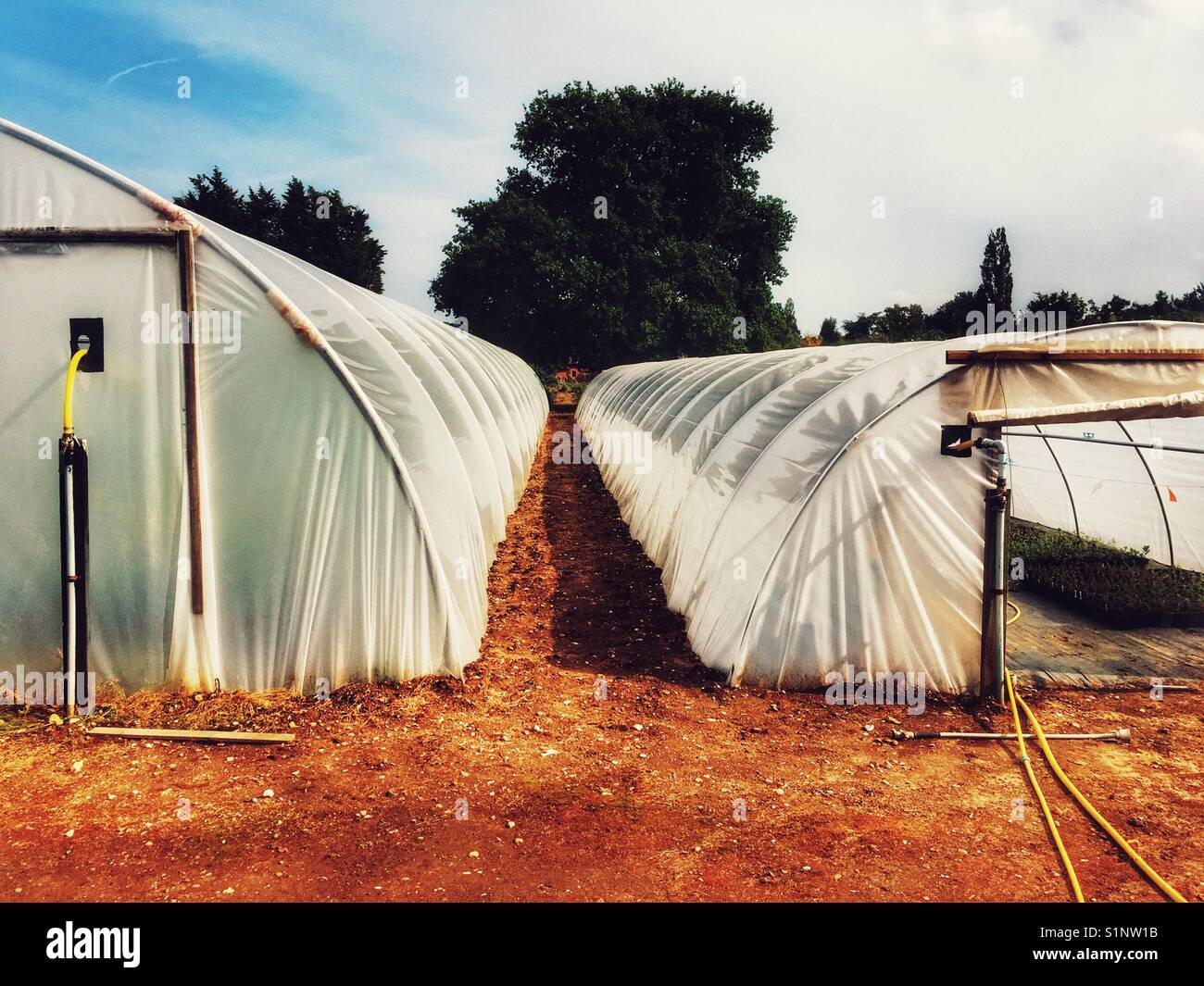 Polly Tunnels High Resolution Stock Photography and Images - Alamy