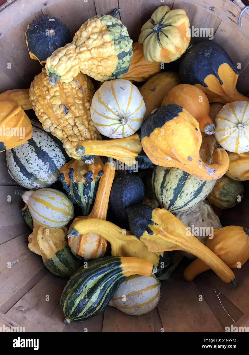 Gourds basket hi-res stock photography and images - Alamy