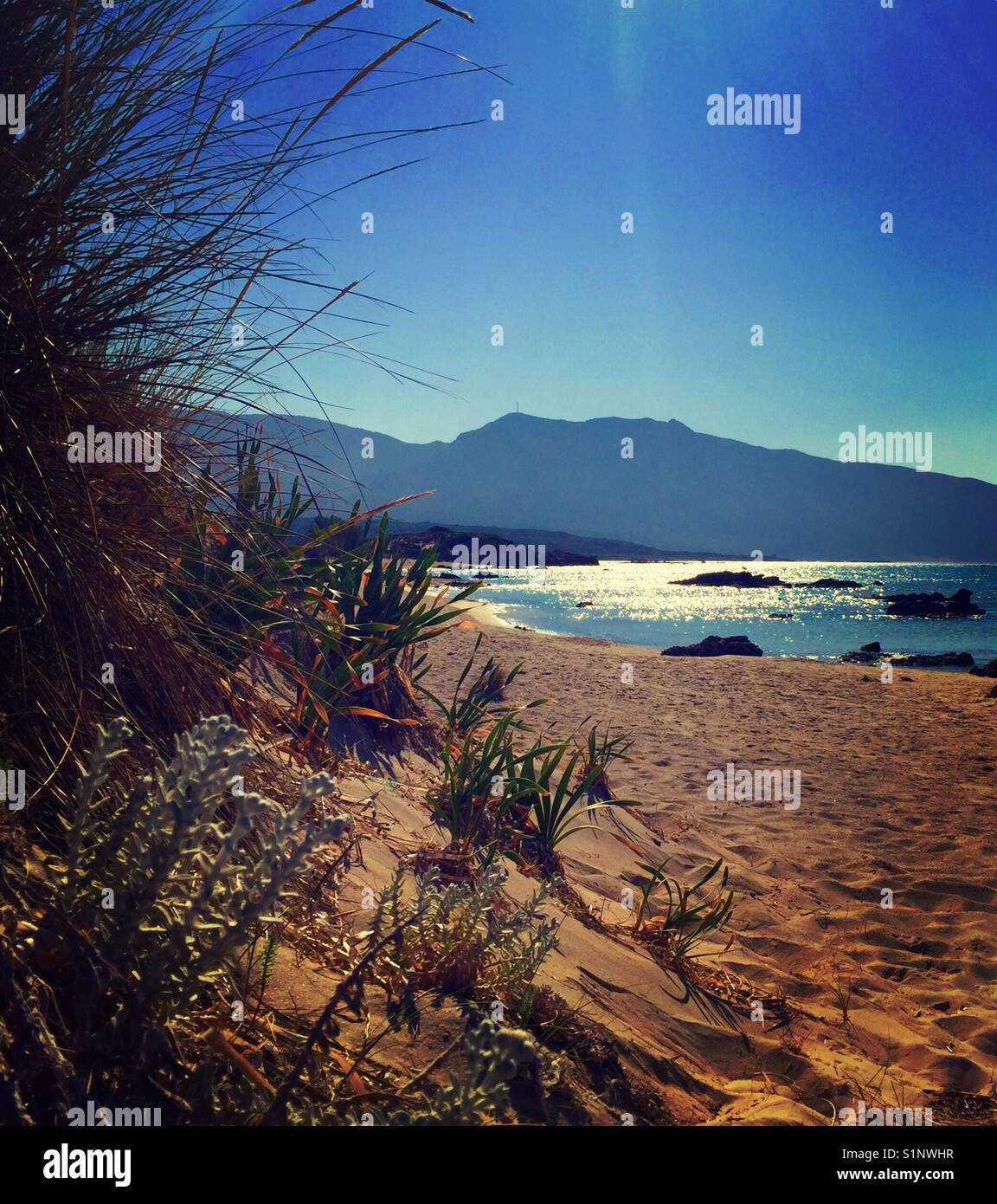 A sandy beach Stock Photo - Alamy