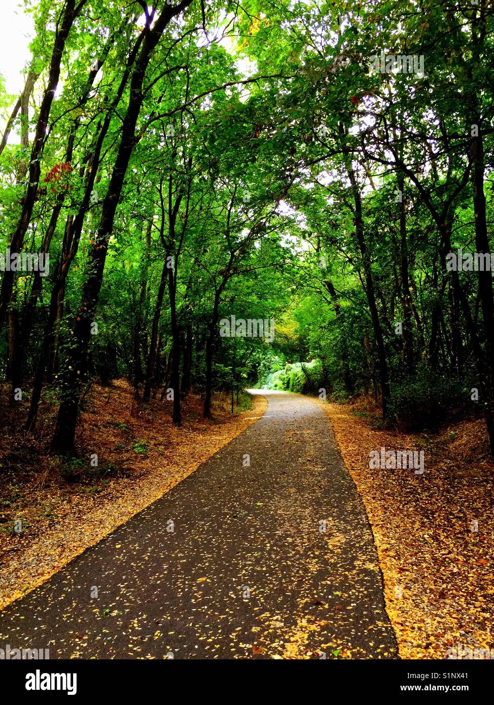 Signs of autumn hi-res stock photography and images - Alamy