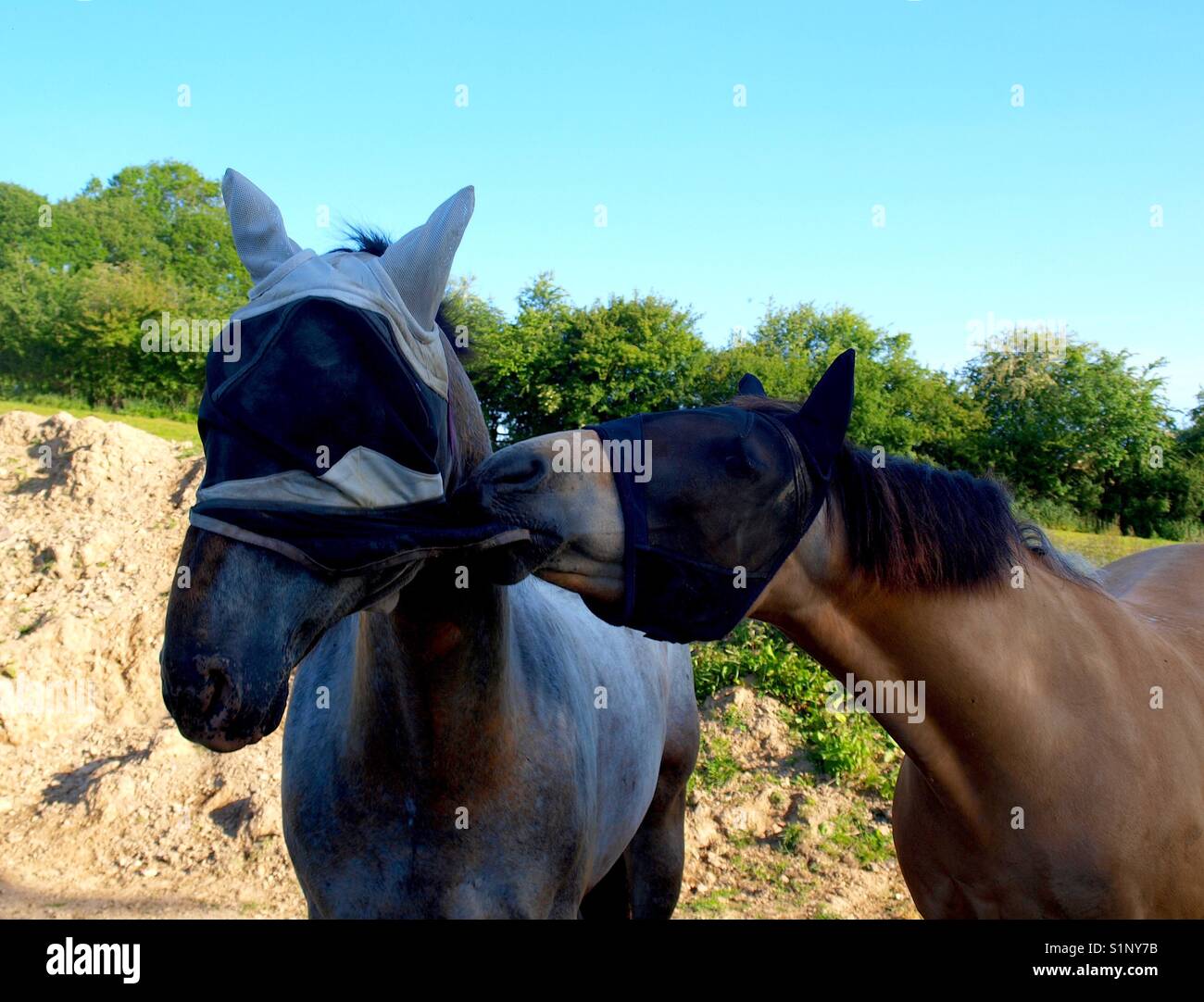 Pull off mask hi-res stock photography and images - Alamy