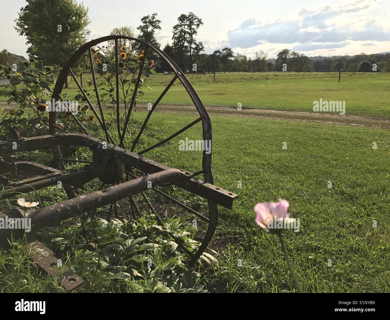 2 wheel wagon hi-res stock photography and images - Alamy