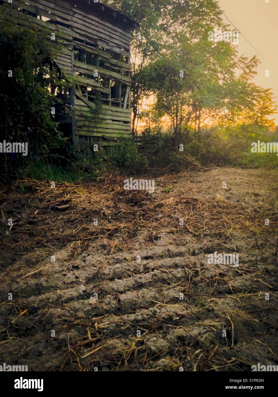 Disked soil by old barn in North Carolina sunset Stock Photo - Alamy