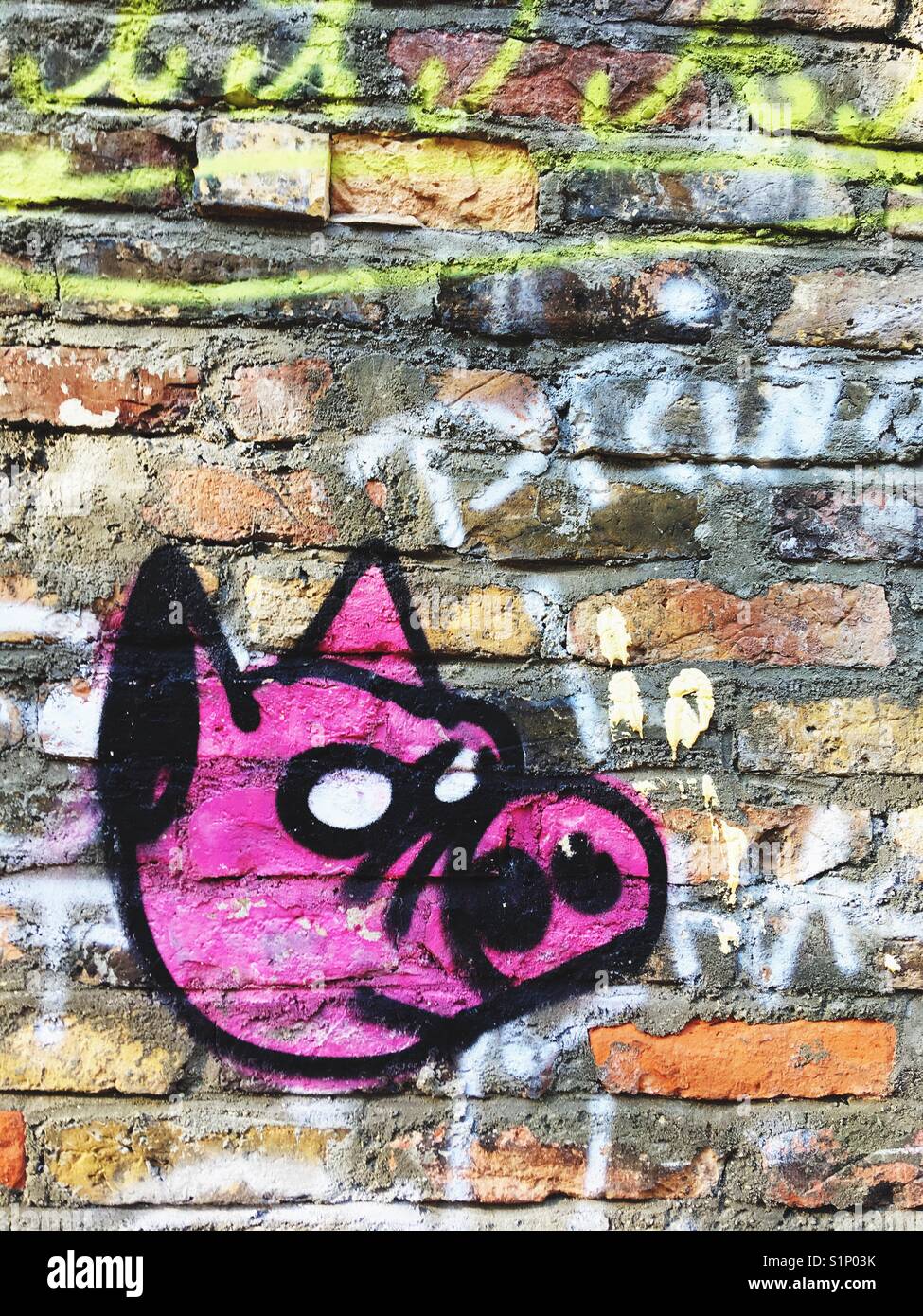 The graffiti painting of a pig's face Stock Photo - Alamy