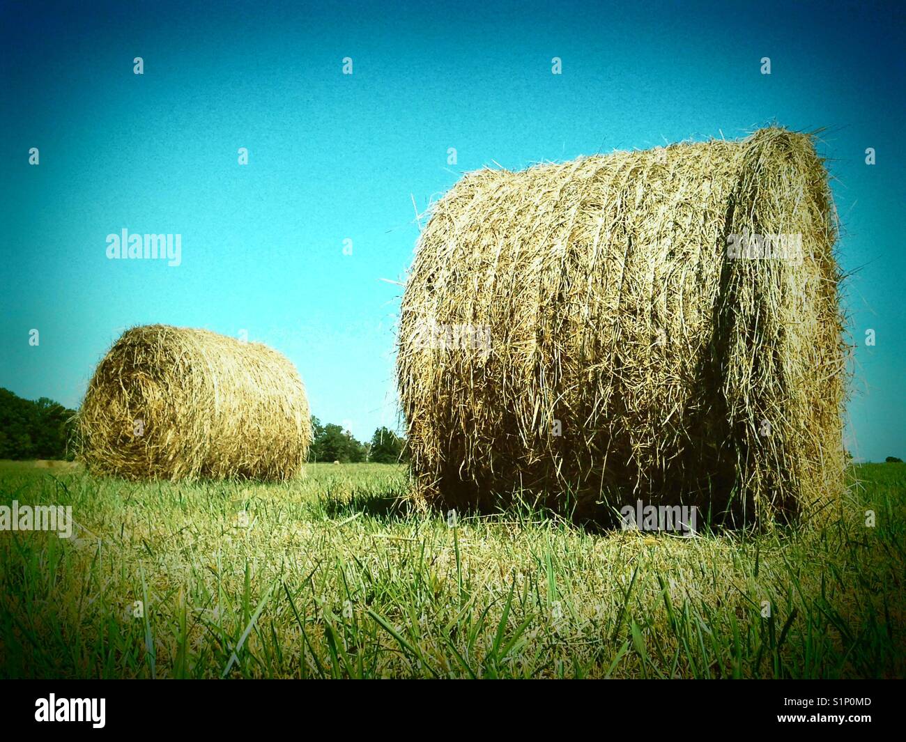 Bails of feed hi-res stock photography and images - Alamy