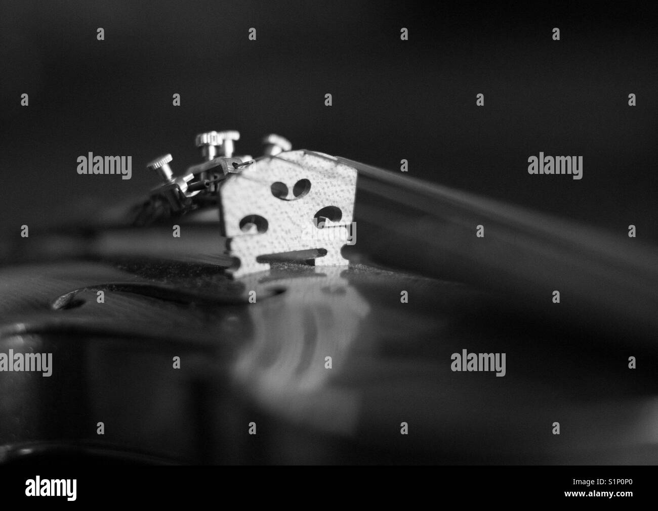 Viola Black and White Stock Photos & Images - Alamy