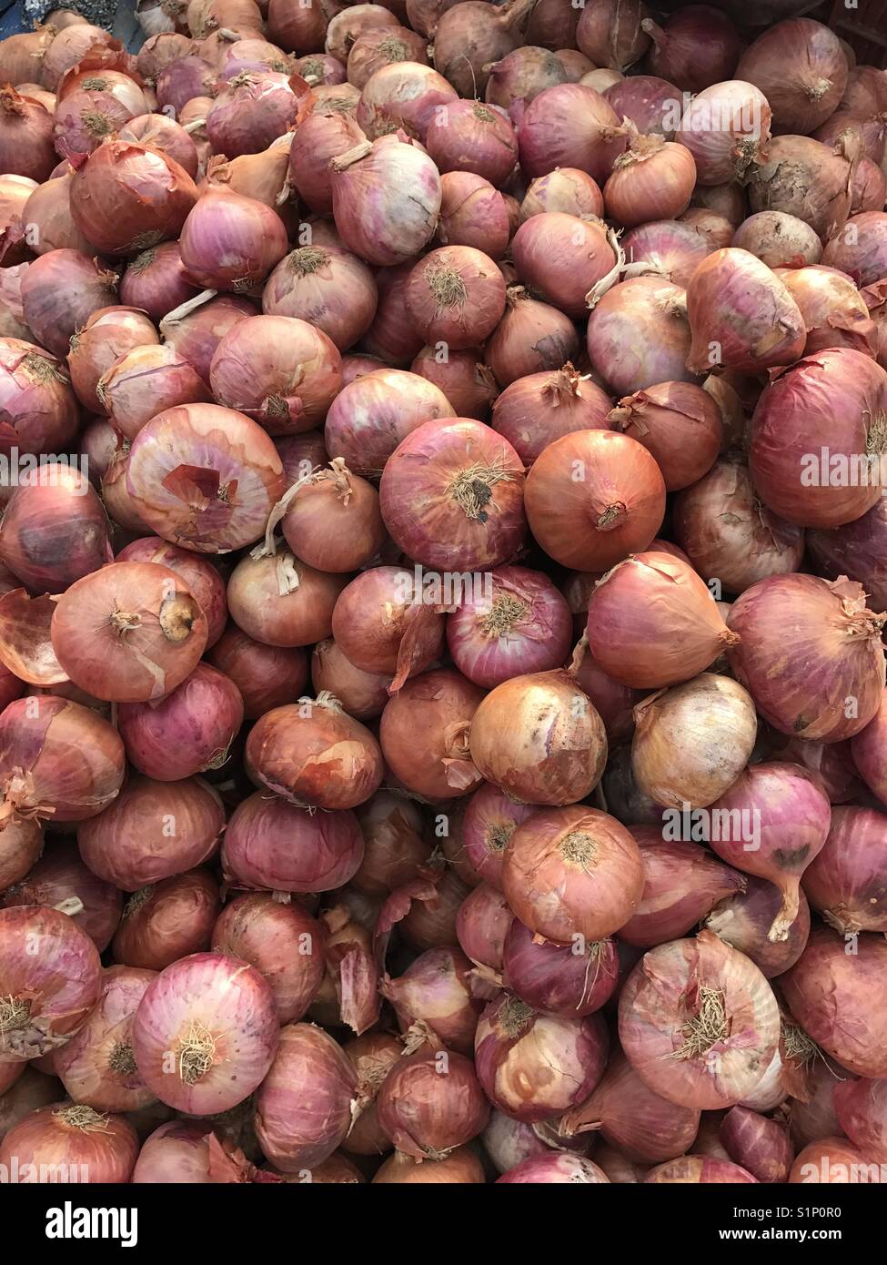 Onions display hi-res stock photography and images - Alamy