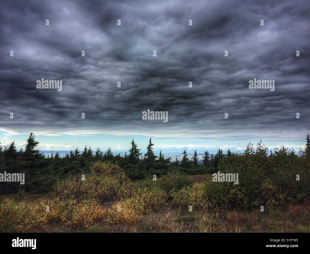 Landscape trees sky hi-res stock photography and images - Alamy