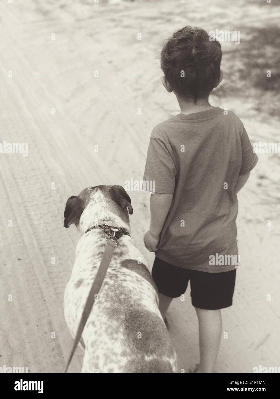 Boy and dog outside hi-res stock photography and images - Alamy