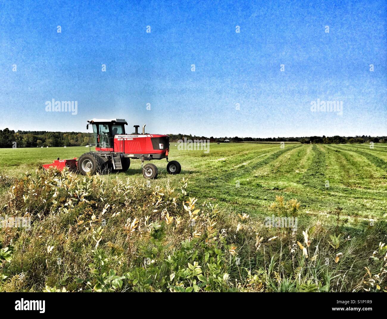 Modern red tractor standing on a green field Stock Photo - Alamy