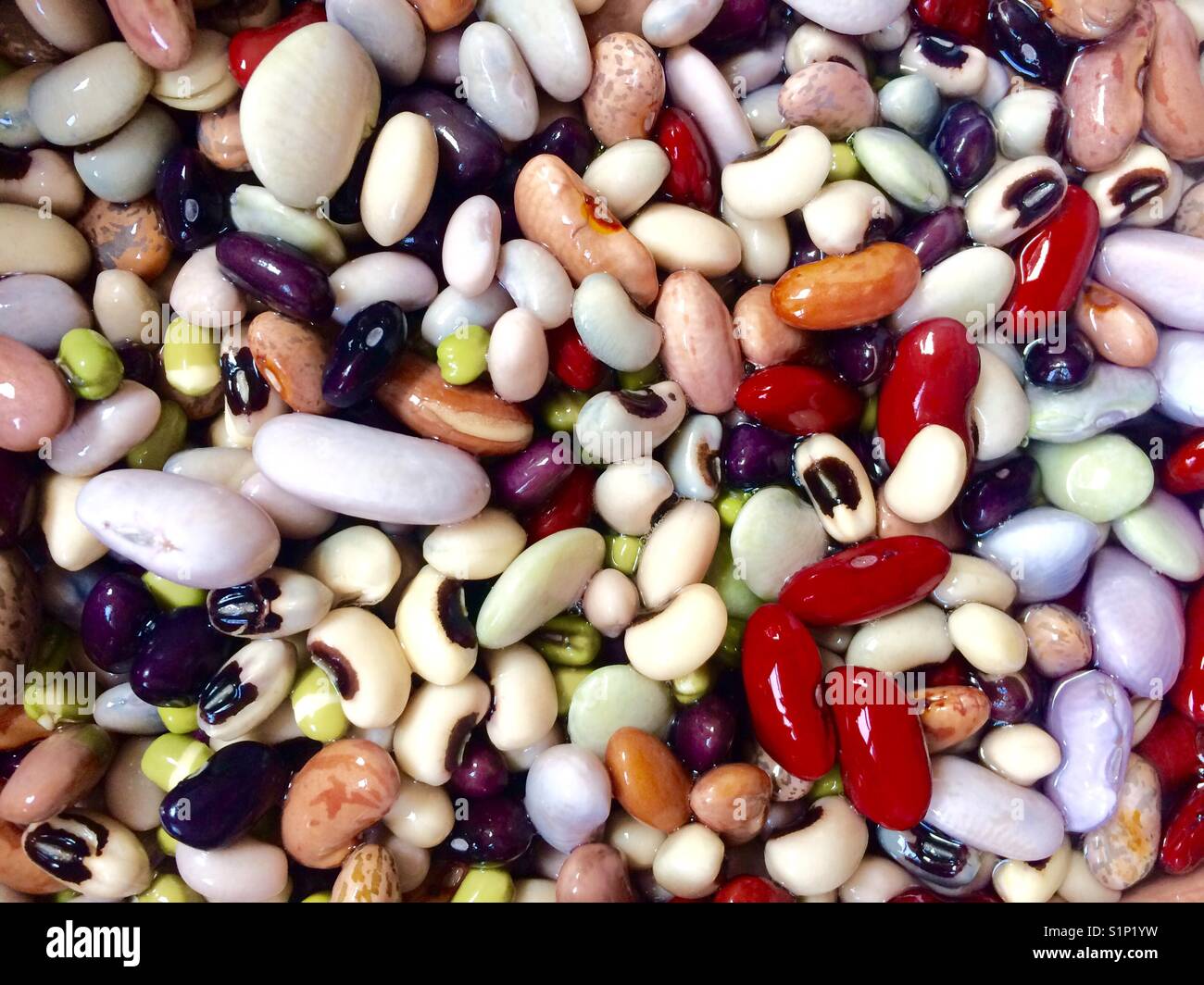 Multi beans hi-res stock photography and images - Alamy