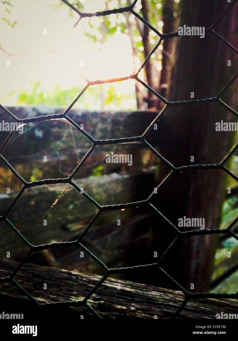 Chicken wire posts hi-res stock photography and images - Alamy