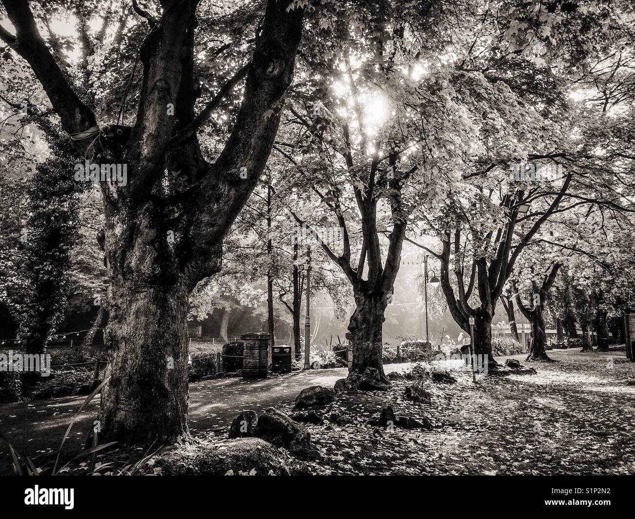 Derwent Gardens in Matlock Bath a village in the Derbyshire Peak ...