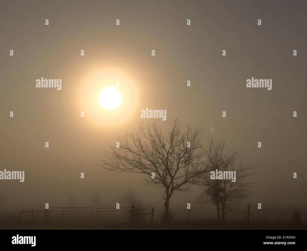 Obscure sun hi-res stock photography and images - Alamy