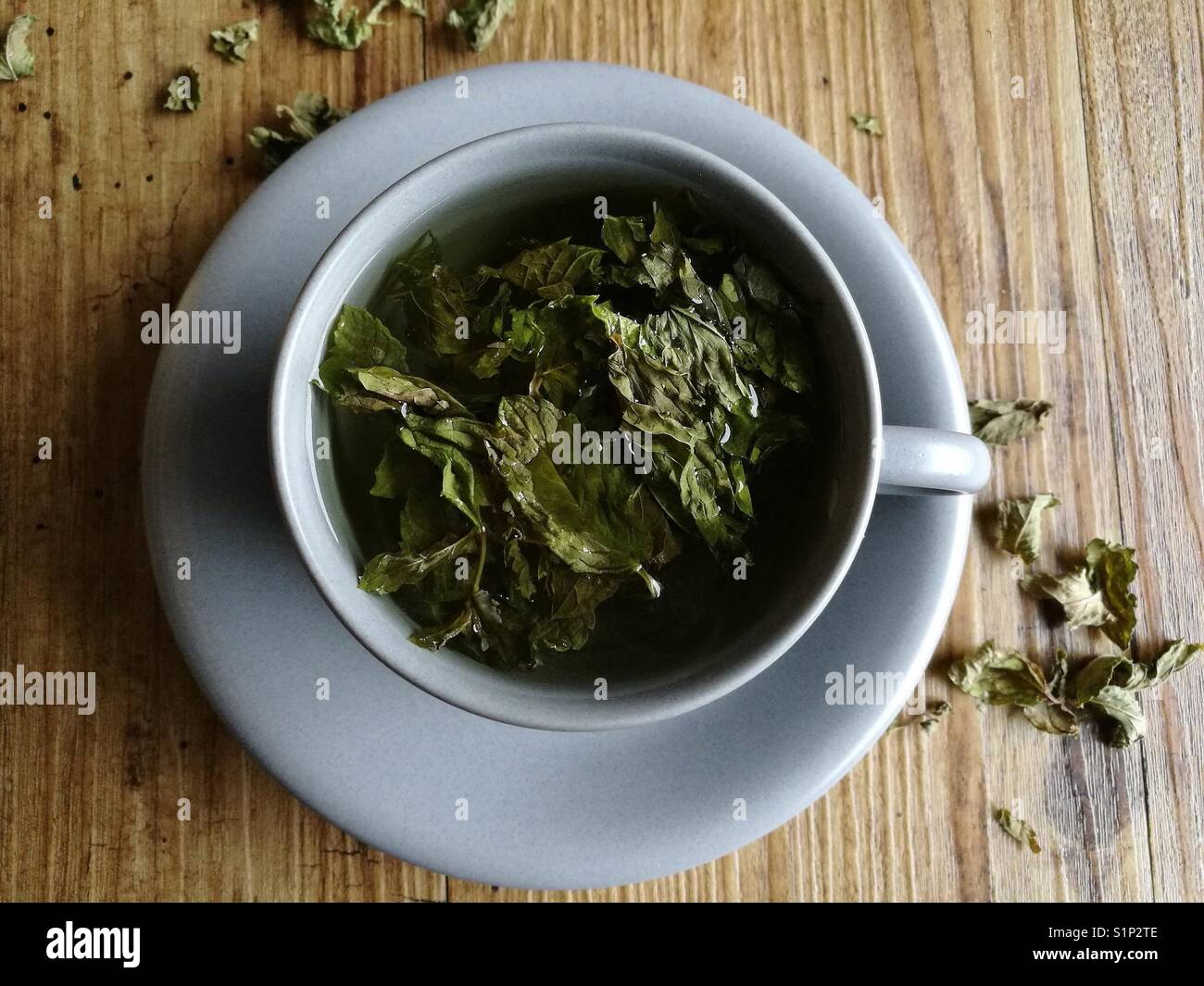 Green mint hi-res stock photography and images - Alamy