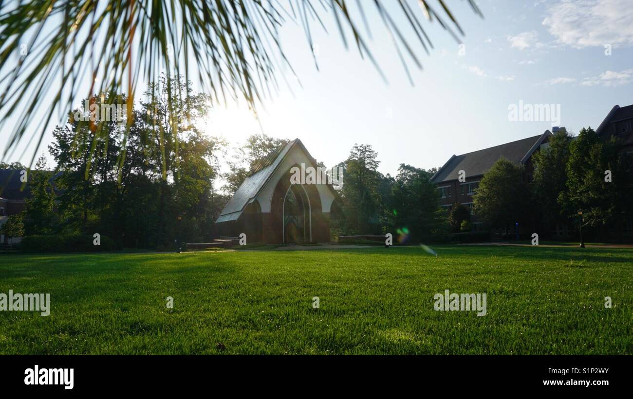 Green hour hi-res stock photography and images - Alamy