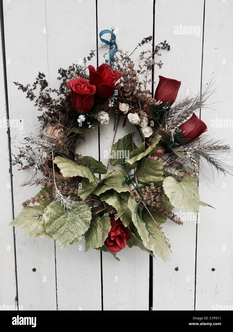 Flowers waiting for autumn Stock Photo - Alamy