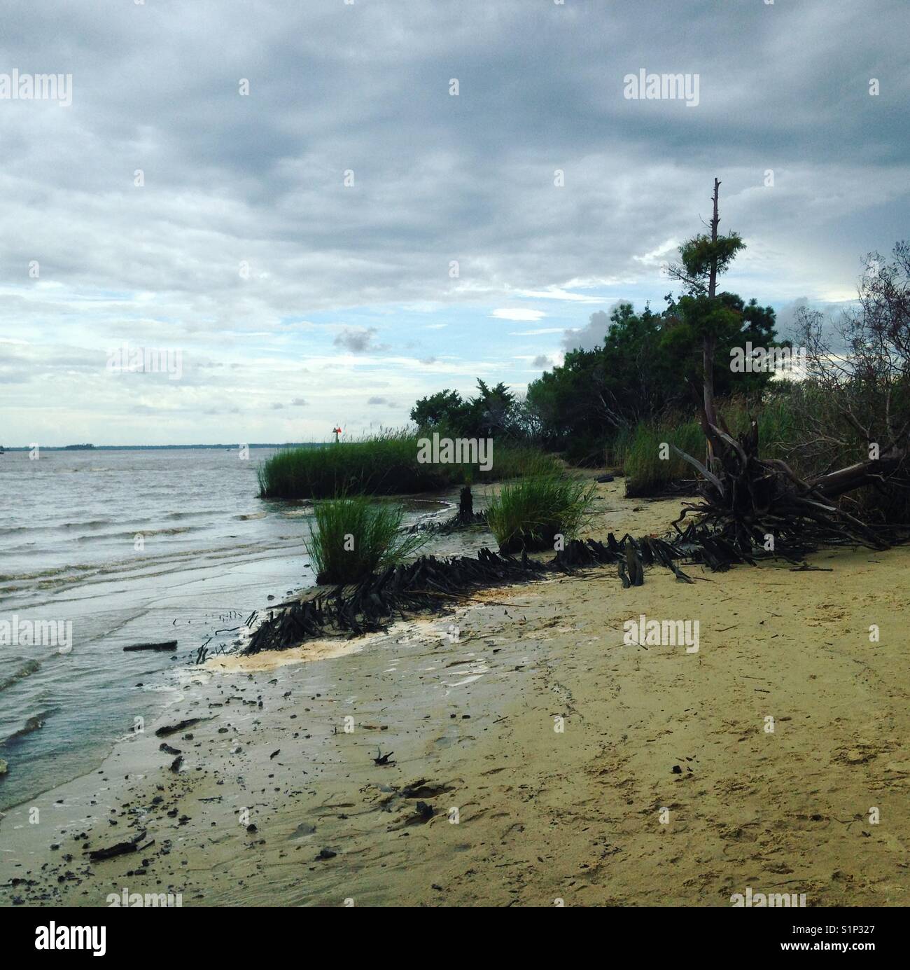 South carolina marsh hi-res stock photography and images - Alamy