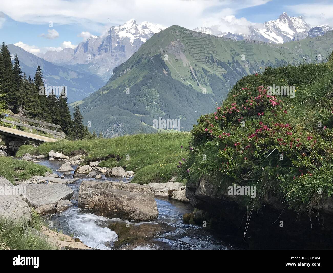 A bridge over water in the swiss alps Stock Photo - Alamy