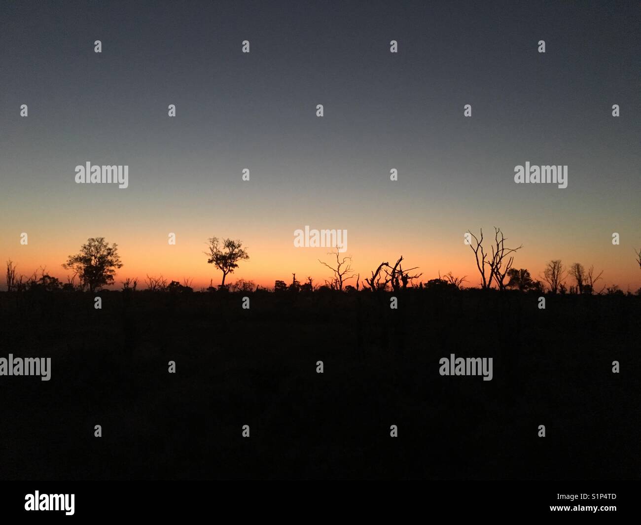 Botswana sunset hi-res stock photography and images - Alamy