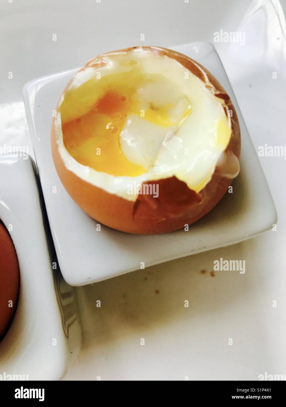 Hen Square Egg High Resolution Stock Photography and Images - Alamy