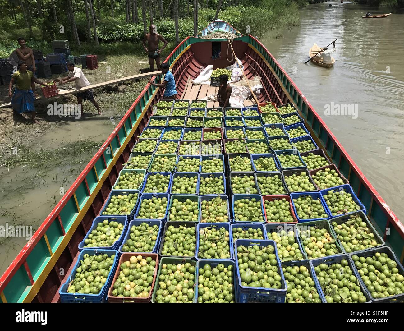 Bangladesh Floating Guava Market High Resolution Stock Photography and ...