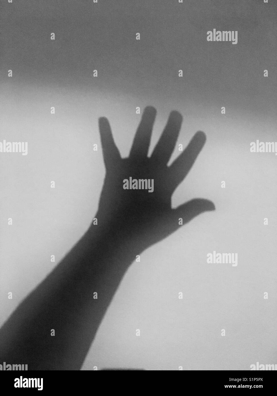 Shadow Waving High Resolution Stock Photography and Images - Alamy