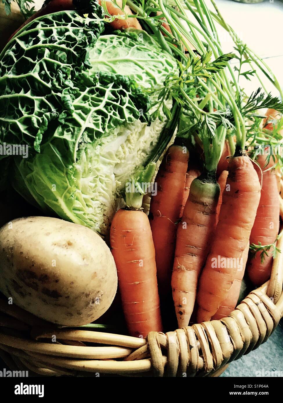 Cornish lifestyle hi-res stock photography and images - Alamy