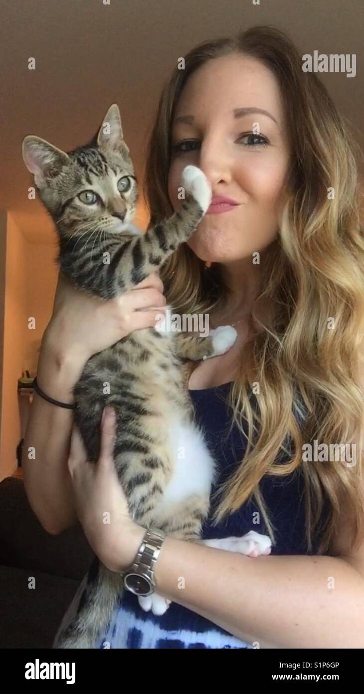 Sassy cat hi-res stock photography and images - Alamy