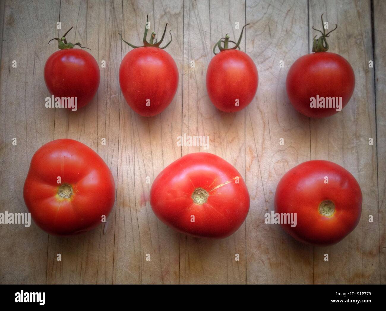 Tomato harvest from the garden Stock Photo - Alamy